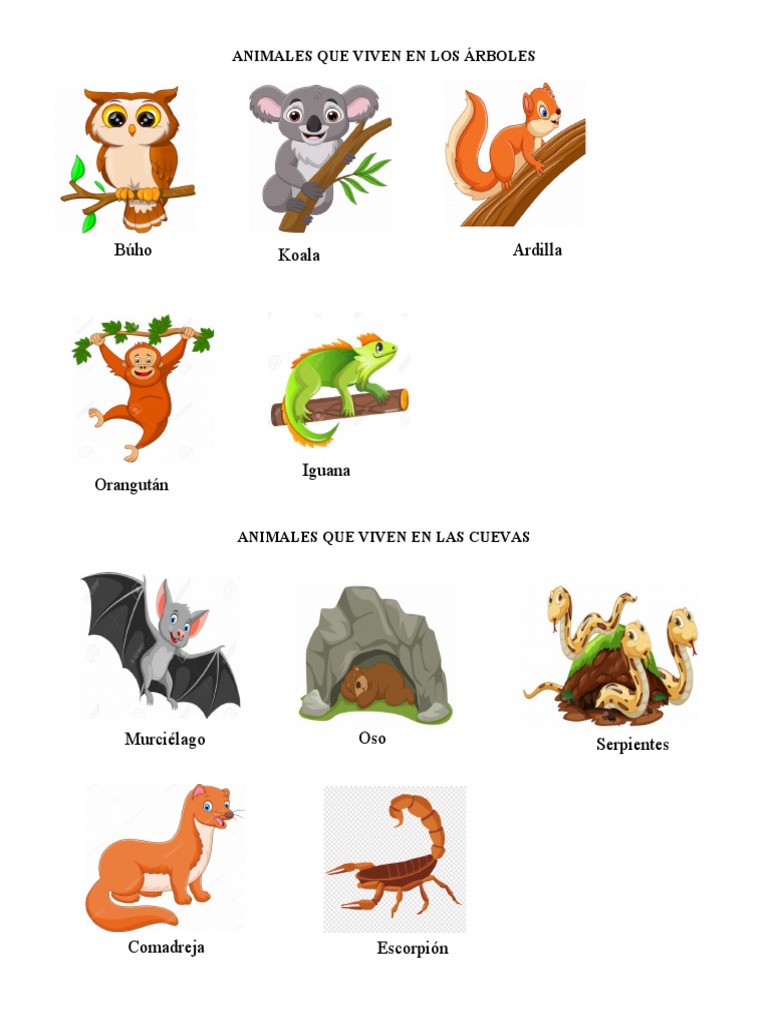 Animales Que Viven en Los Árboles | PDF