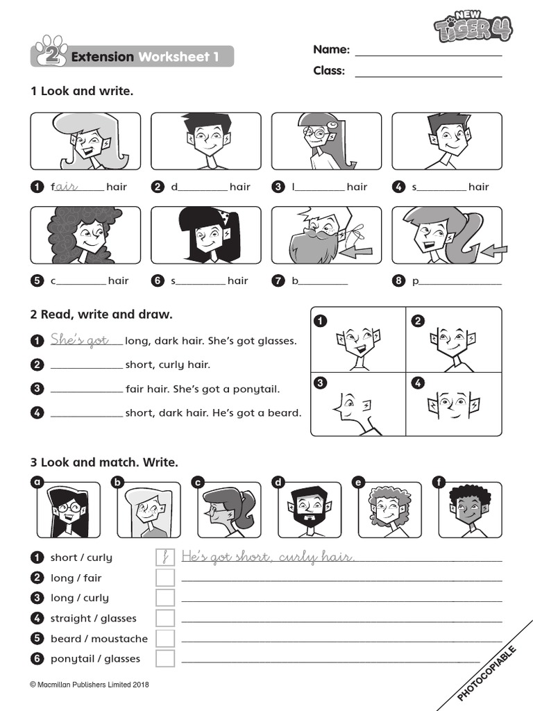 Extension: Worksheet 1 | PDF | Human Hair | Hair