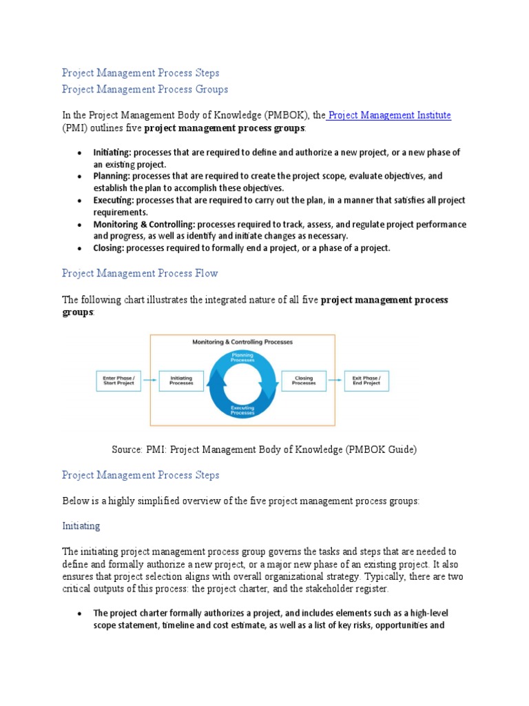 Project Management Process Steps | PDF | Project Management | Business