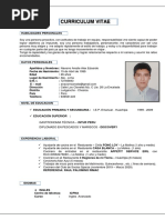 Currículum Vitae de Flor Vitor Zambrano | PDF