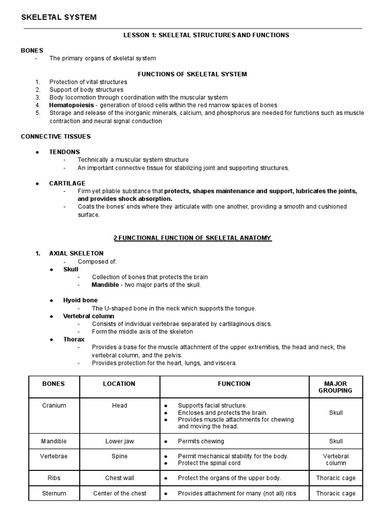An Overview of the Structure and Functions of the Skeletal System: From ...