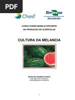 Bula - Marshal Star | PDF | Agricultura | Inseticida