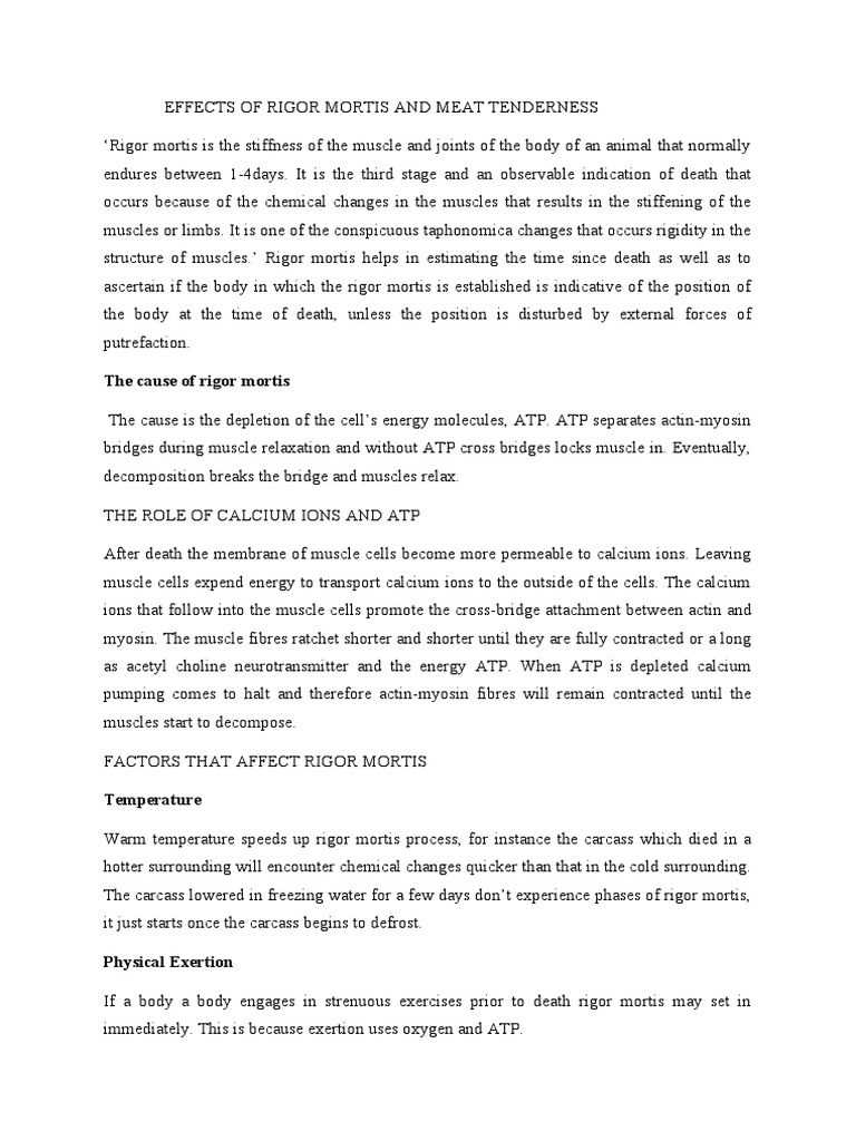 Effects of Rigor Mortis and Meat Tenderness | PDF | Muscle Contraction ...