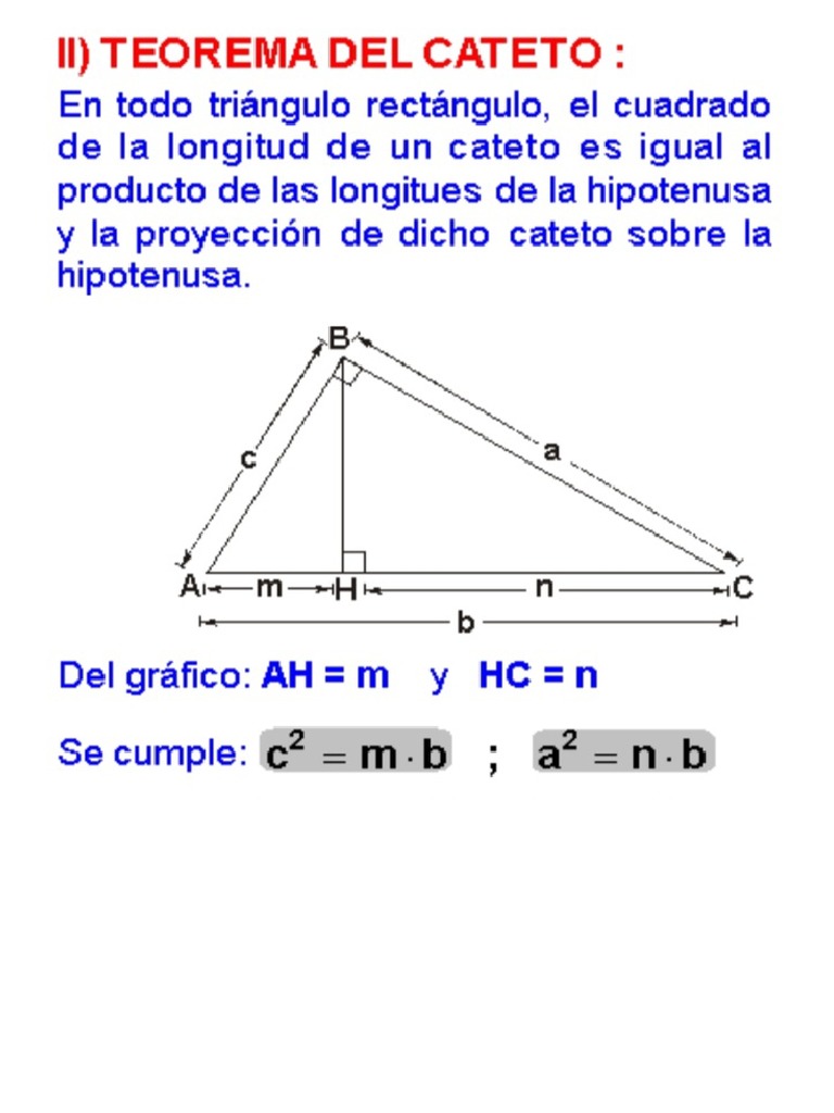 Teorema Del Cateto | PDF