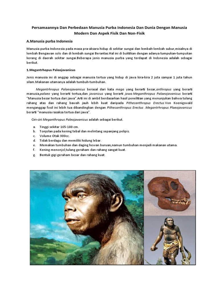 Perbandingan Manusia Purba dan Modern dalam Aspek Fisik dan Non-Fisik | PDF