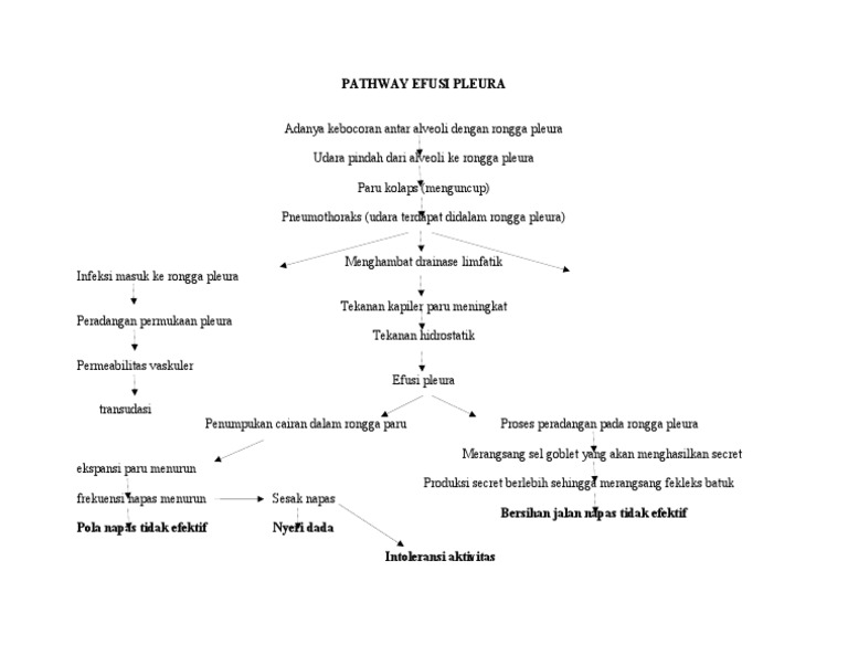 Pathway Pleura | PDF