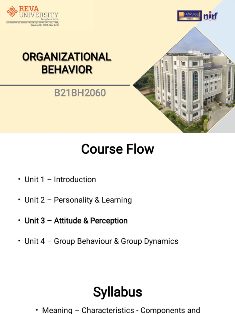 ORGANIZATIONAL BEHAVIOR COURSE | PDF | Perception | Attitude (Psychology)