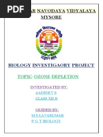 Annotated Video Script TEMPLATE Cell Cycle by Amoeba Sisters | PDF ...