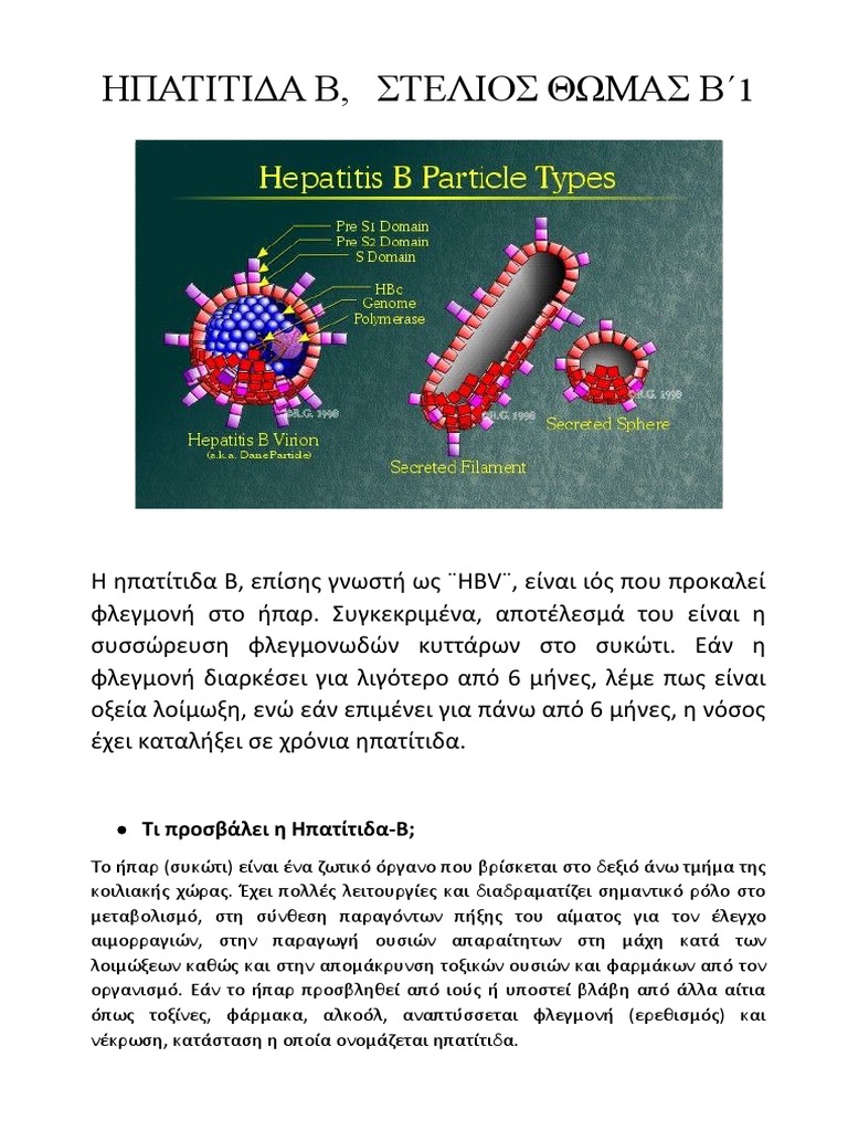ΕΡΓΑΣΙΑ ΒΙΟΛΟΓΊΑΣ-ΗΠΑΤΙΤΙΔΑ Β | PDF