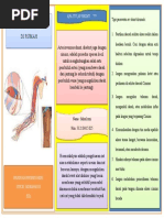 Teknik Perawatan CDL Pada Pasien HD - Ns. Didin. Rasidin, S.Kep | PDF