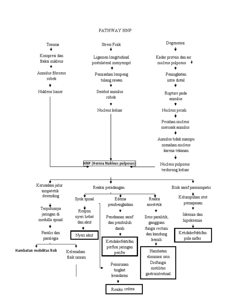 Pathway HNP 4 PDF Free | PDF
