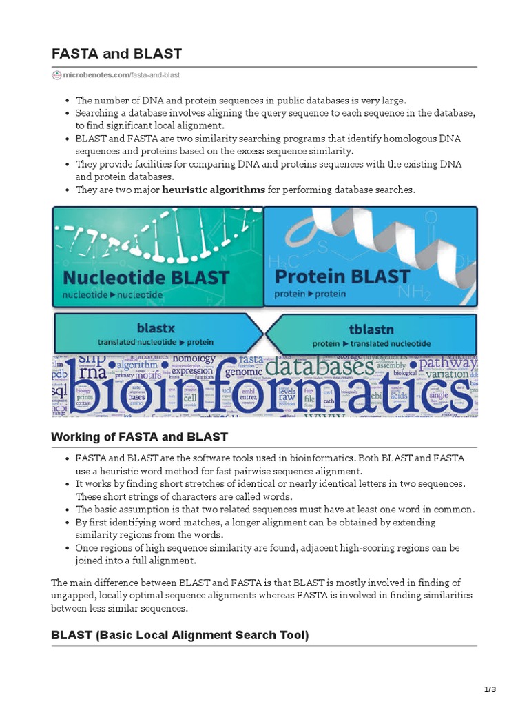 Fasta and Blast | PDF | Sequence Alignment | Life Sciences