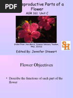 Grade 7 Flower Parts Worksheet | PDF