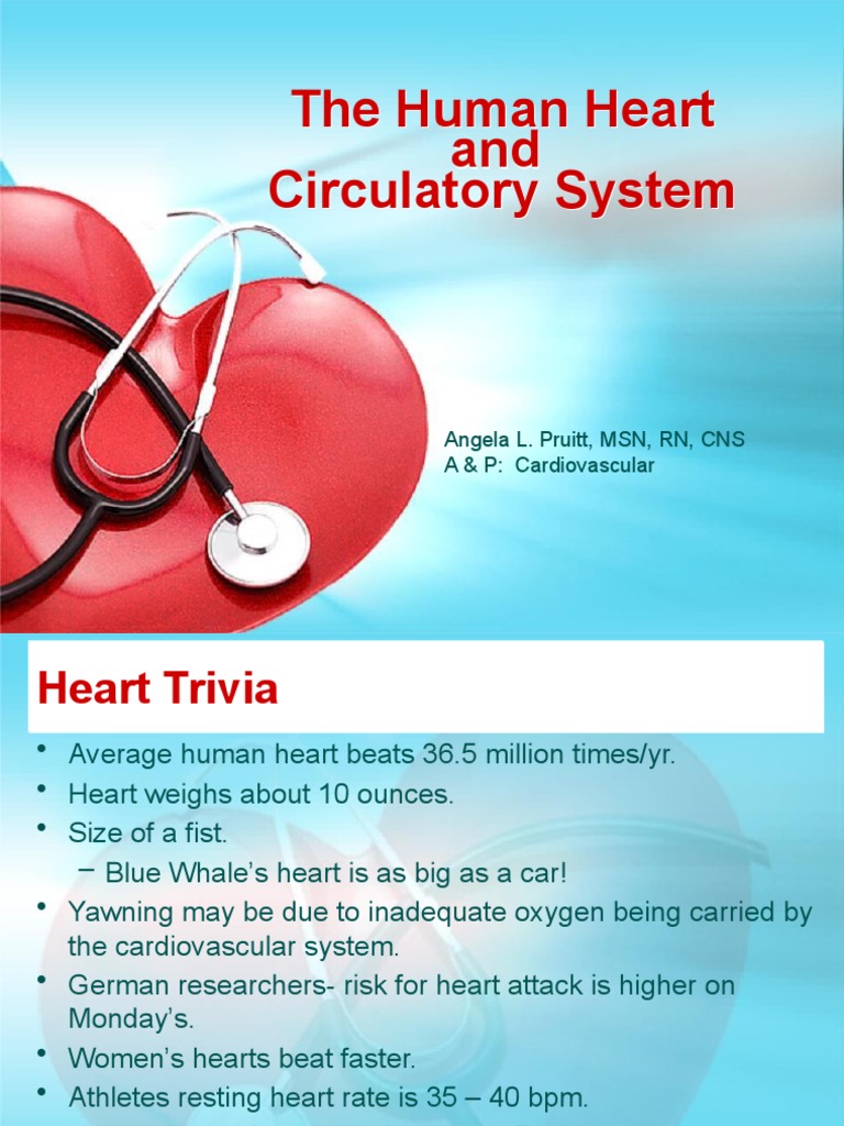 The Anatomy and Function of the Human Heart | PDF | Heart Valve | Heart