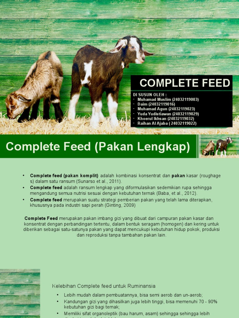 Complete Feed | PDF