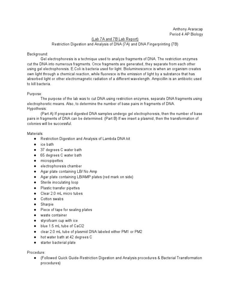 AP Biology DNA Lab Report | PDF | Gel Electrophoresis | Transformation ...