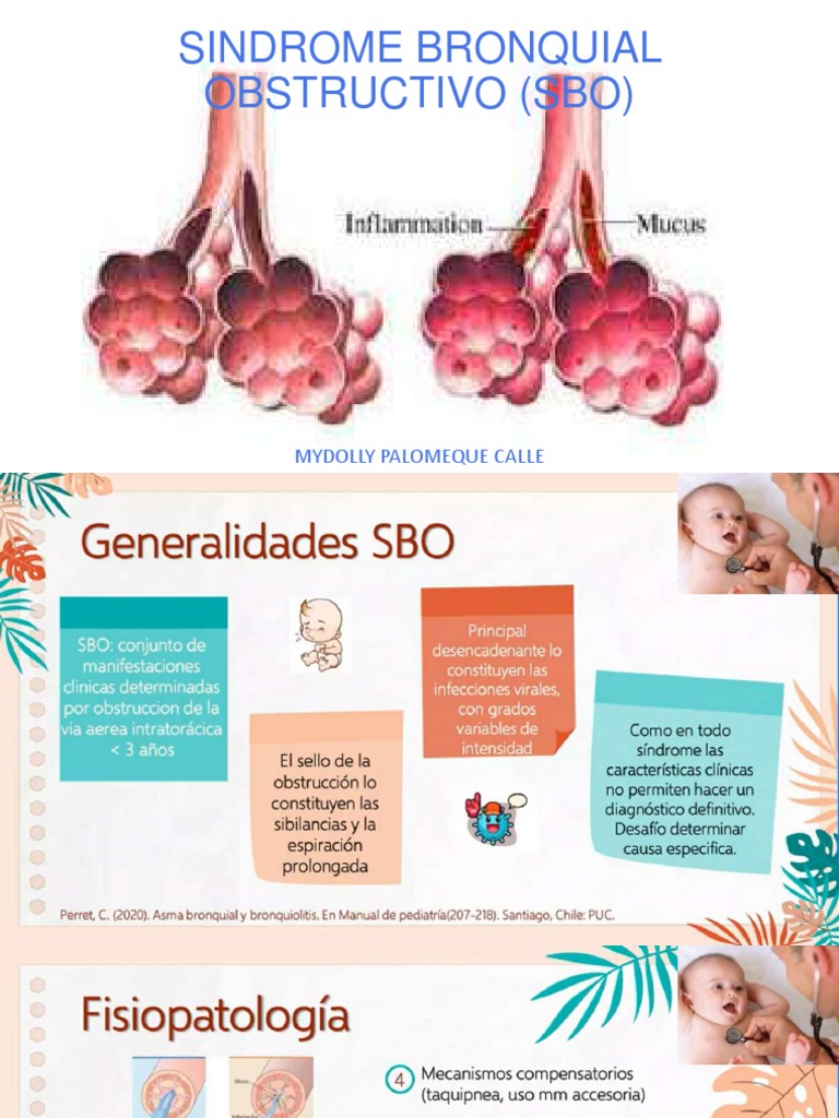 Sindrome Bronquial Obstructivo (Sbo) | PDF