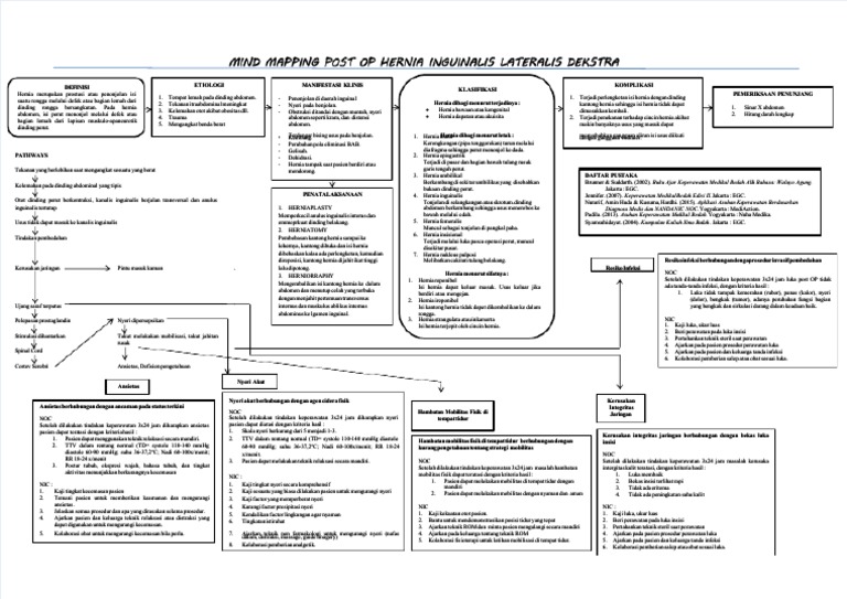 PDF Mind Mapping Post Op Hernia Inguinalis Lateralis Dekstra Diagnosa Medis Dan Nanda Nic Noc ...
