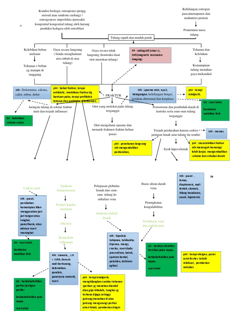 Patoflow Fraktur | PDF