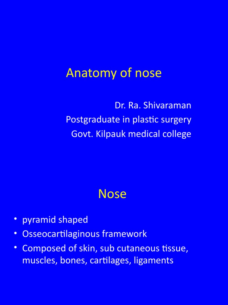 Anatomy of Nose: Dr. Ra. Shivaraman Postgraduate in Plastic Surgery ...