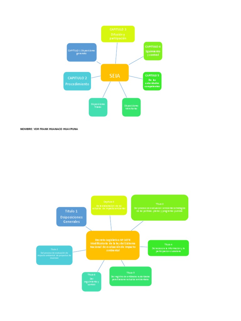 Mapa Mental Seia | PDF | Gobierno