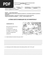 Sopa de Letras sobre Ecosistemas | PDF