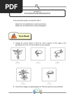 Pollination Worksheet Stage 5 Worksheet | PDF | Pollination | Science