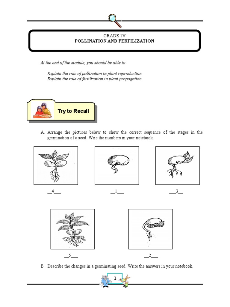 Pollination and Fertilization | PDF | Flowers | Pollination