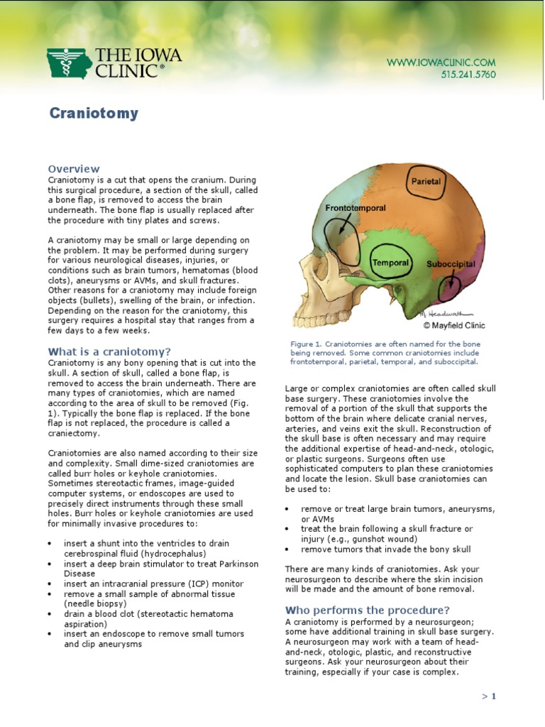 Craniotomy | PDF | Surgery | Neurosurgery