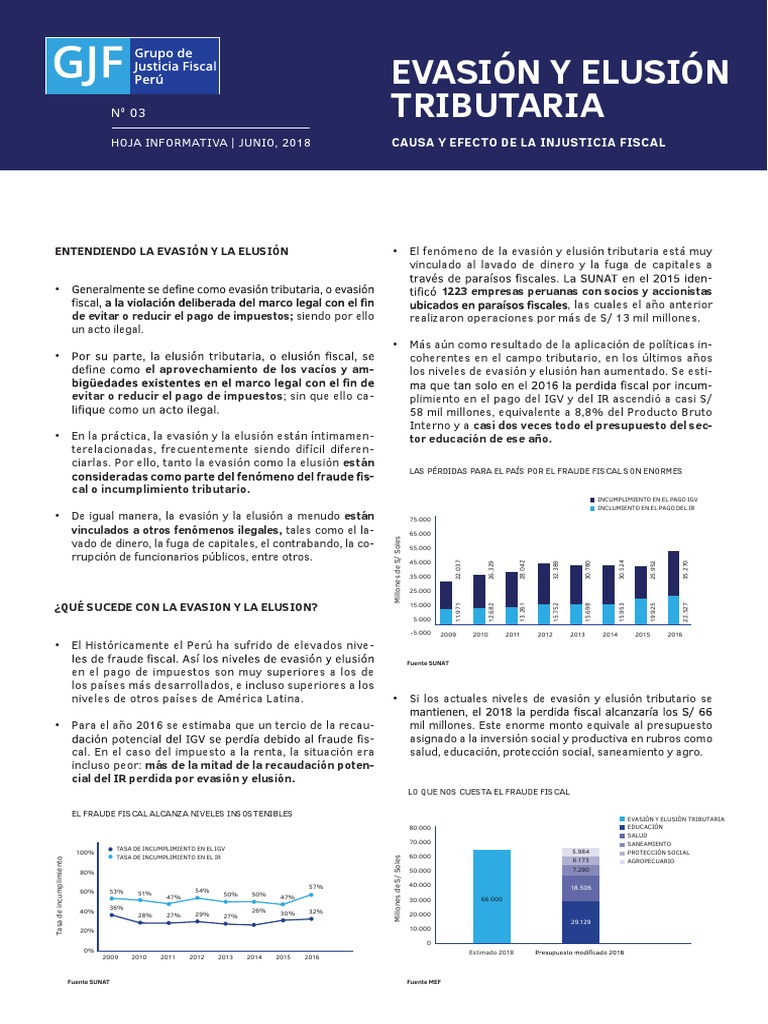 Evasión y Elusión Tributaria. Causa y Efecto de La Injusticia Fiscal ...