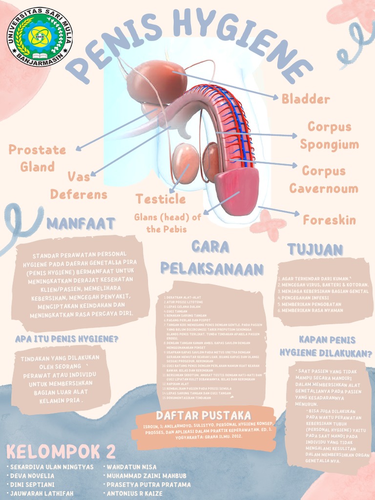Penis Hygiene - Kelompok 2 | PDF