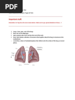 Respiratory System | PDF | Respiratory Tract | Thorax
