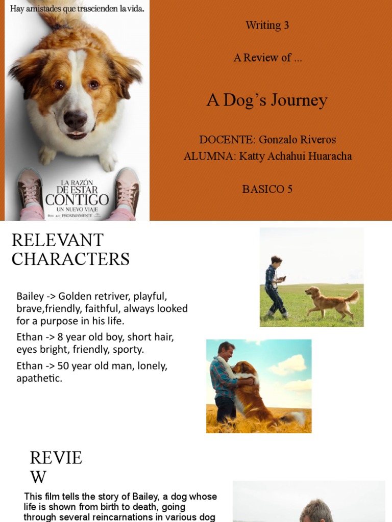 A Dog's Journey: Writing 3 A Review of .. | PDF