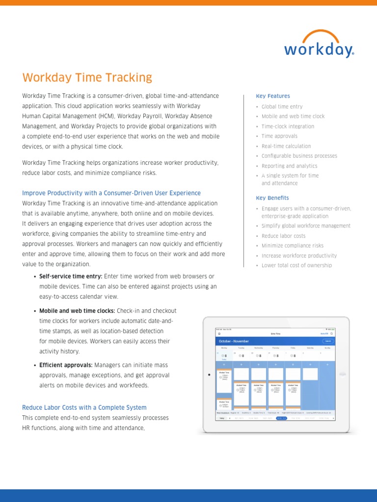 Datasheet Workday Time Tracking | PDF | Working Time | Automation