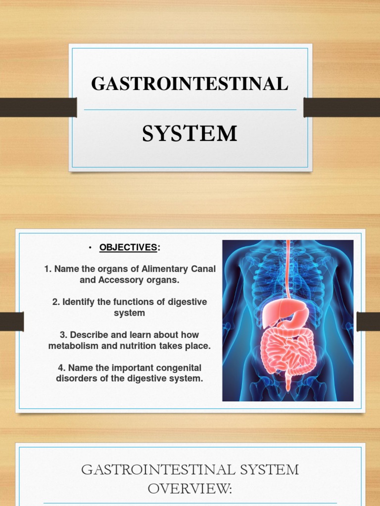 Gastrointestinal Tract | PDF | Human Digestive System ...