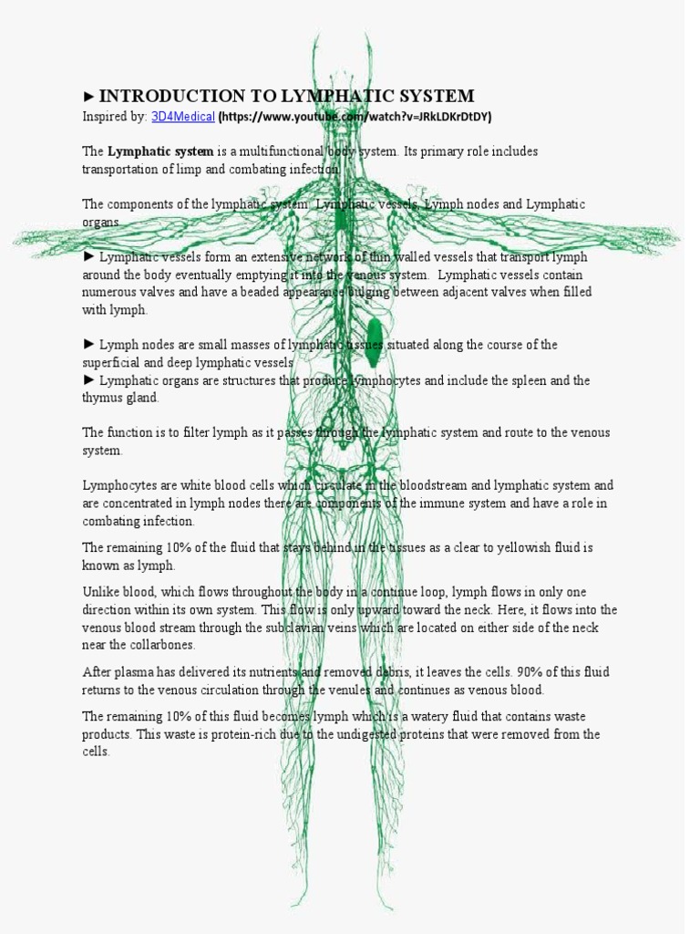 Introduction To Lymphatic System: 3D4Medical | PDF | Lymphatic System ...
