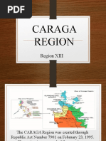 Region 11 | PDF | Nature