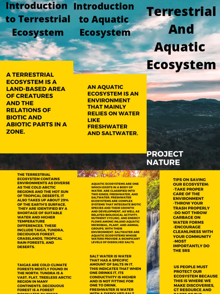 Terrestrial and Aquatic Ecosystem | PDF | Ecosystem | Aquatic Ecosystem