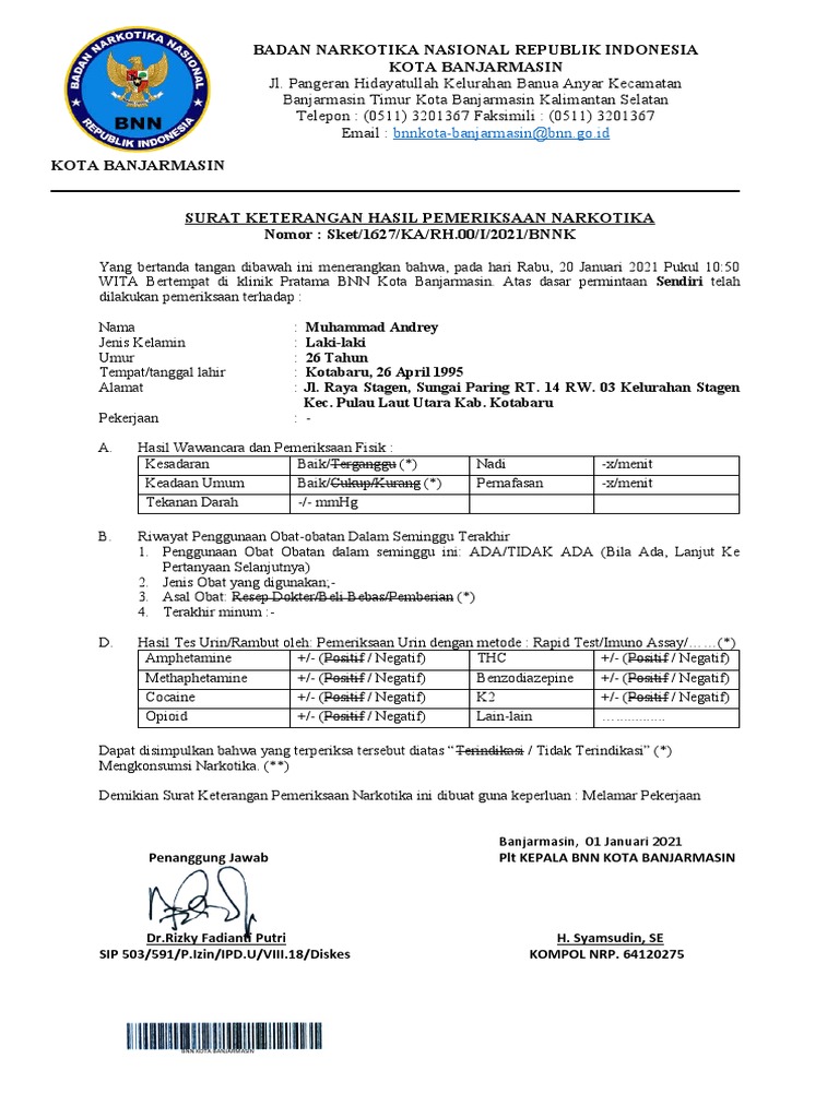 Badan Narkotika Nasional Republik Indonesia | PDF