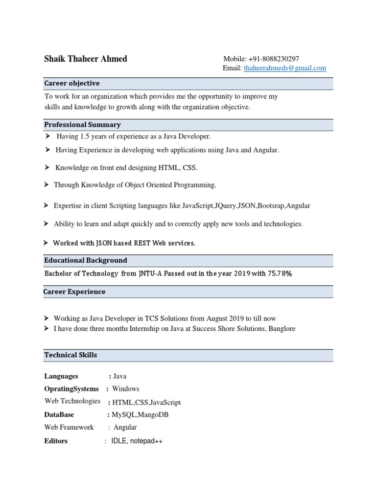 Shaik Thaheer Ahmed: Career Objective | PDF | Programmer | Java Script
