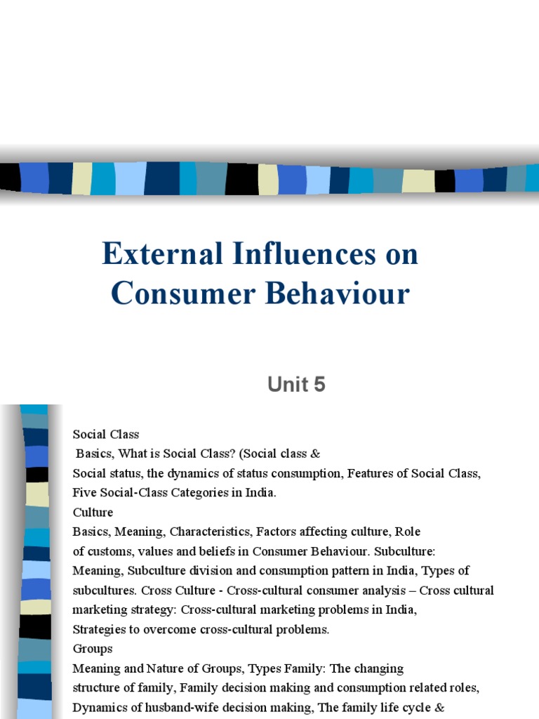 External Influences On Consumer Behaviour: Unit 5 | PDF | Social Status ...
