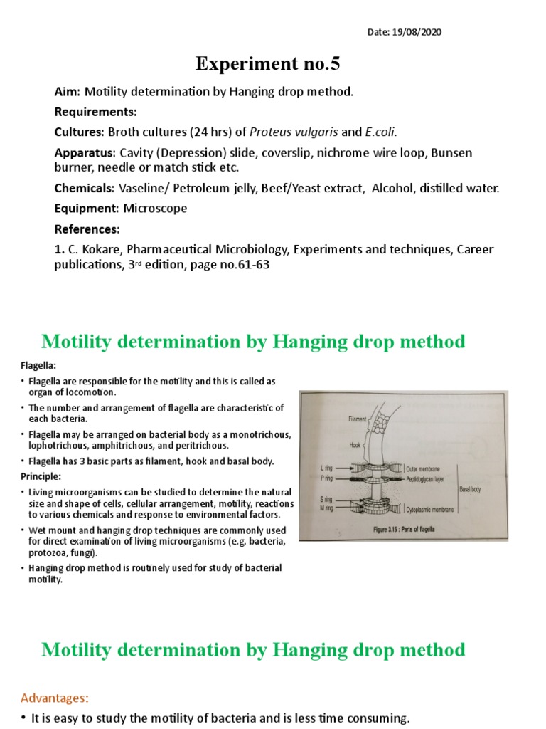 Experiment No.5: Burner, Needle or Match Stick Etc | PDF | Bacteria ...
