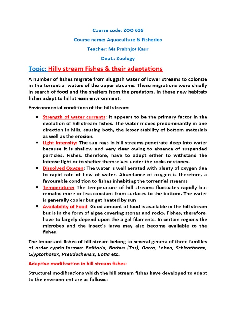 Hill Stream Fishes and Their Adaptations | PDF | Gill | Fish