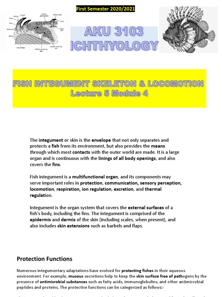 Fish Integument Functions | PDF | Skeleton | Integumentary System