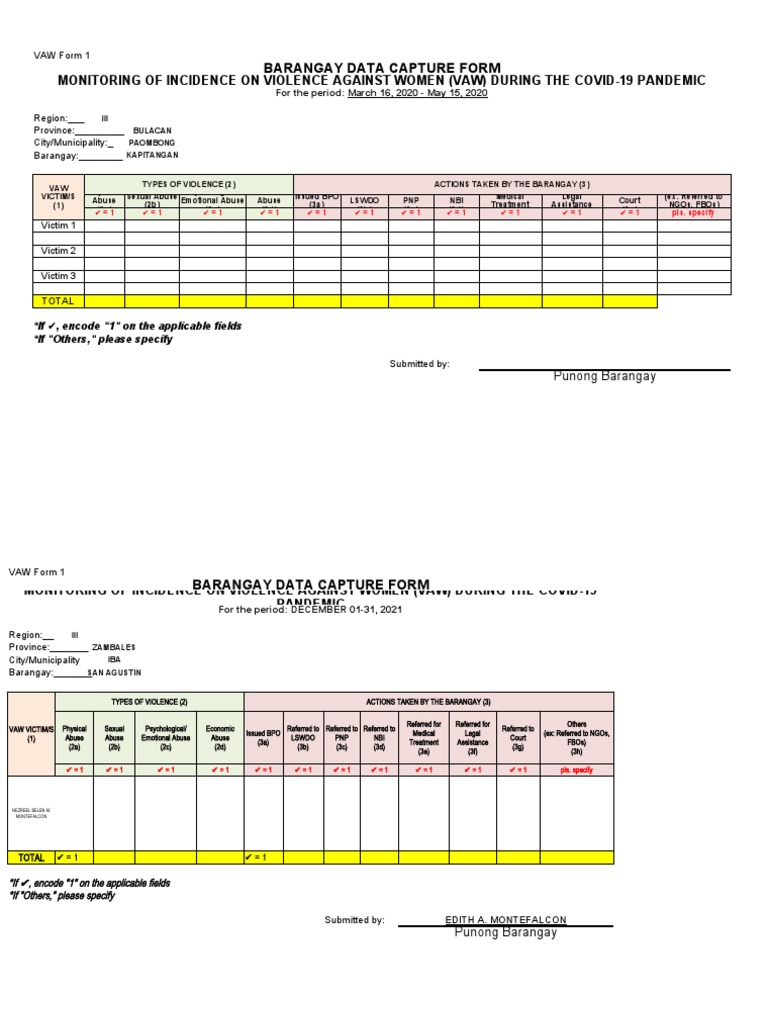 VAW - Barangay Data Capture Form | PDF | Deviance (Sociology) | Women's ...