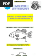 Fish Mouth Types | PDF