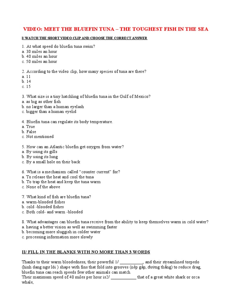 Meet The Bluefin Tuna-The Toughest Fish in The Sea - SS | PDF | Tuna | Fish