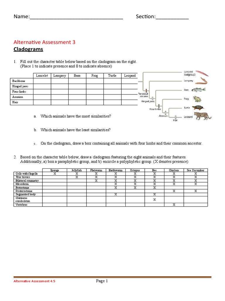 Alternative Assessment 3 Constructing Phylogenetic Tree of Cladogram ...