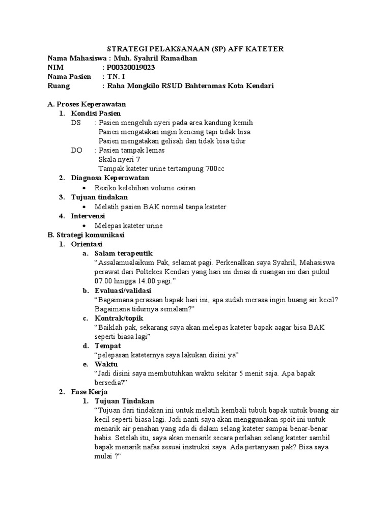 SP AFF Kateter | PDF