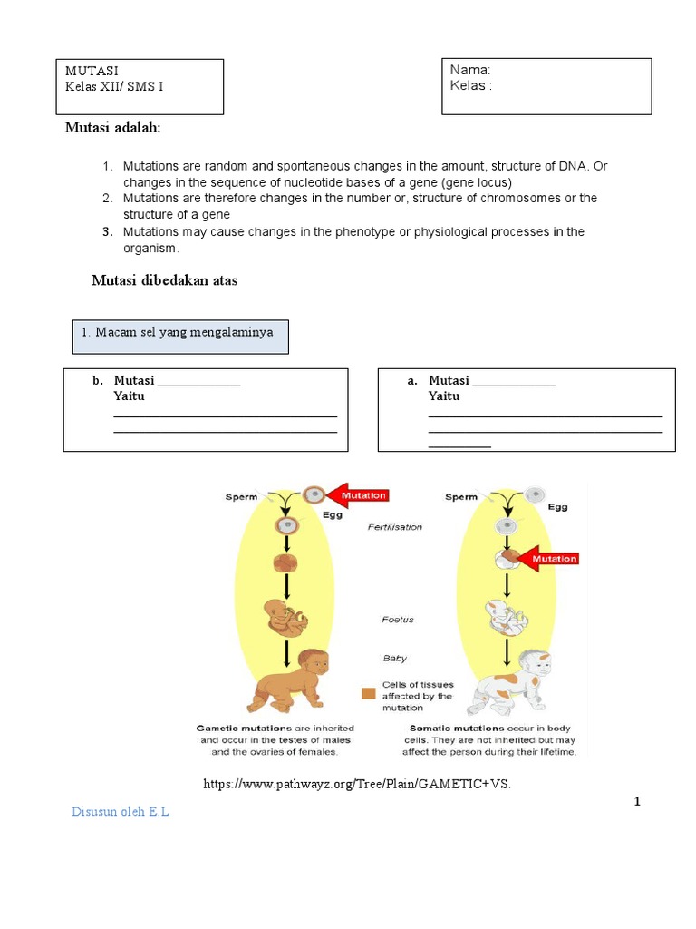 Modul Mutasi 2 | PDF
